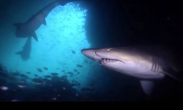 How Deep Is Ocean In Reality? - WordlessTech