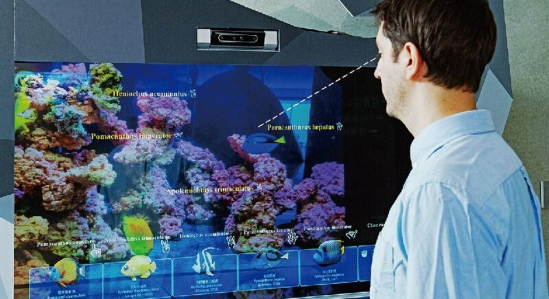 AI Aquarium Can Instantly Recognize Aquatic Species - WordlessTech