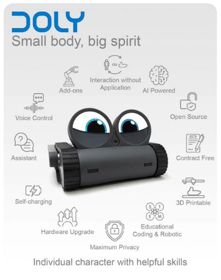 Doly Mini Companion Robot - WordlessTech