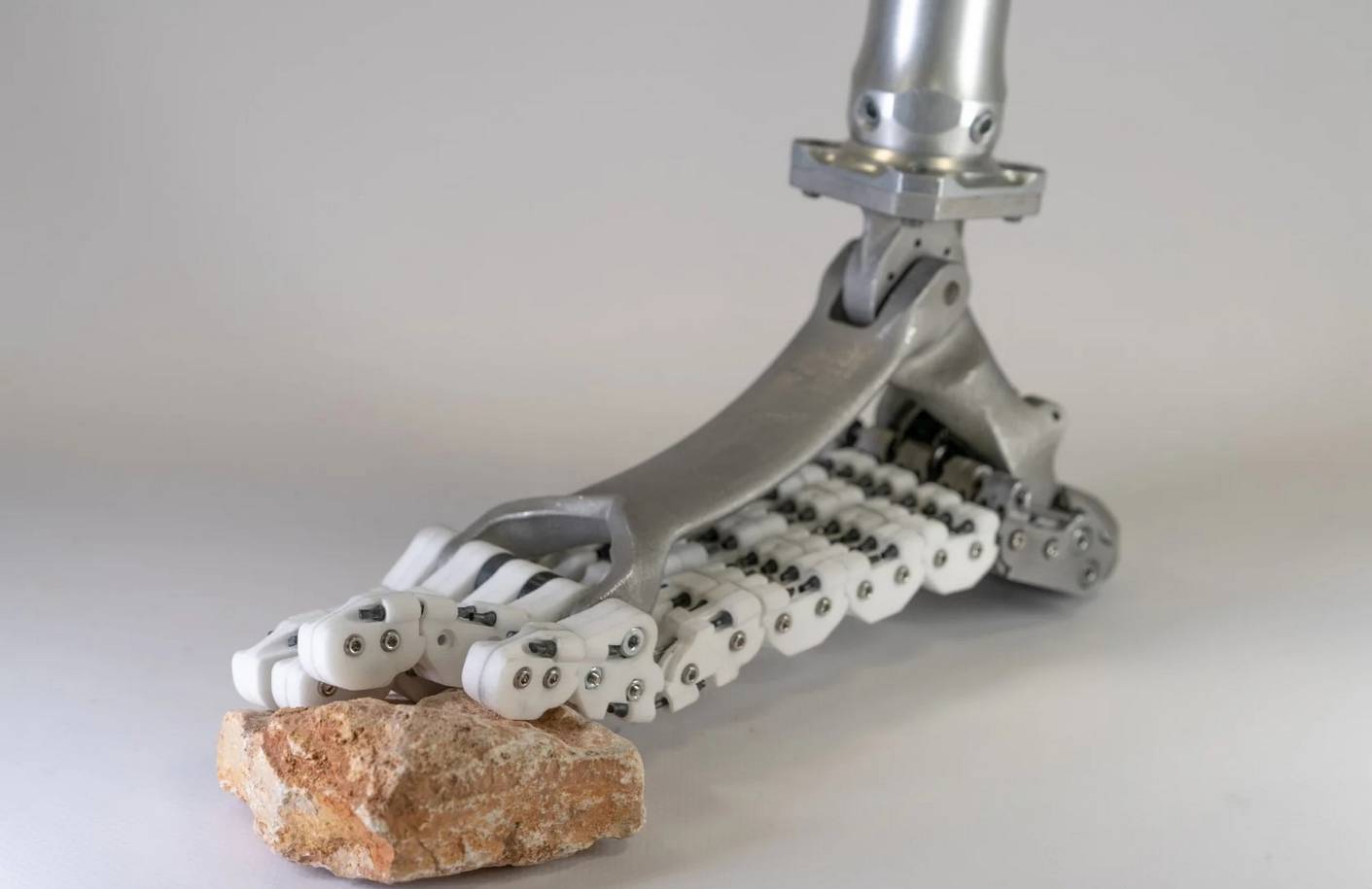 SoftFoot Pro Flexible Artificial Foot - WordlessTech
