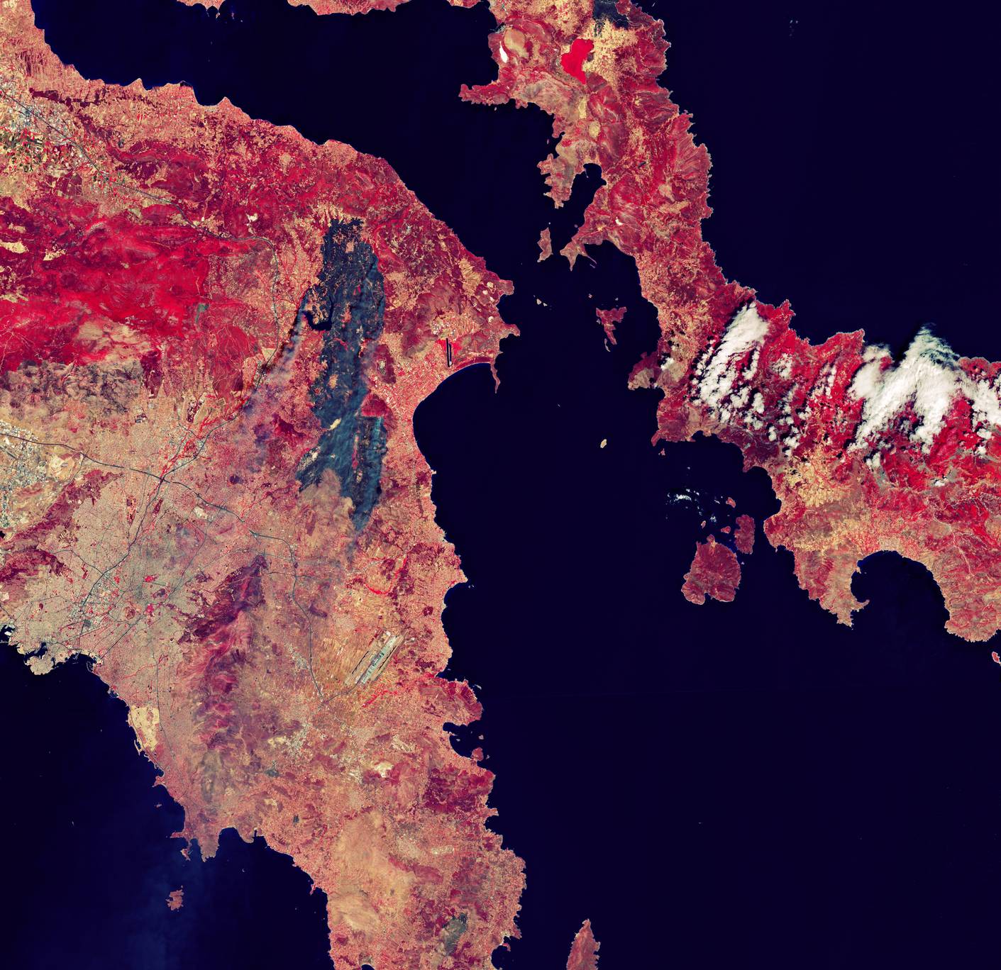 Wildfires rage across Athens | WordlessTech Wildfires rage across Athens | WordlessTech