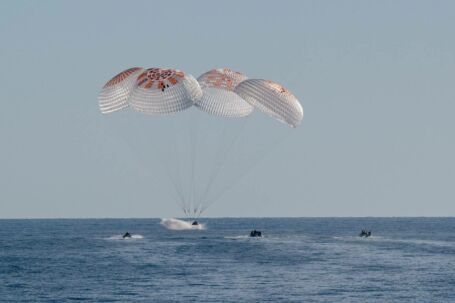 Dolphins Welcome SpaceX Crew-9 Dragon Spacecraft - WordlessTech