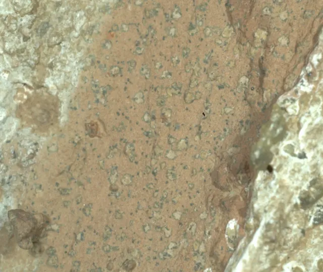 NASA Found Strong Signs Of Ancient Life On Mars - WordlessTech